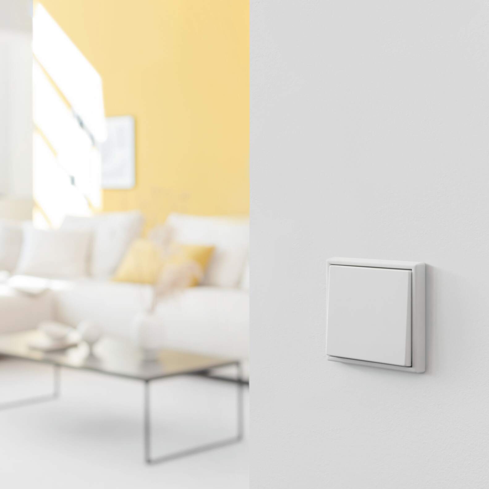 The LS 990 flat switch – classic in the Bauhaus style since 1968