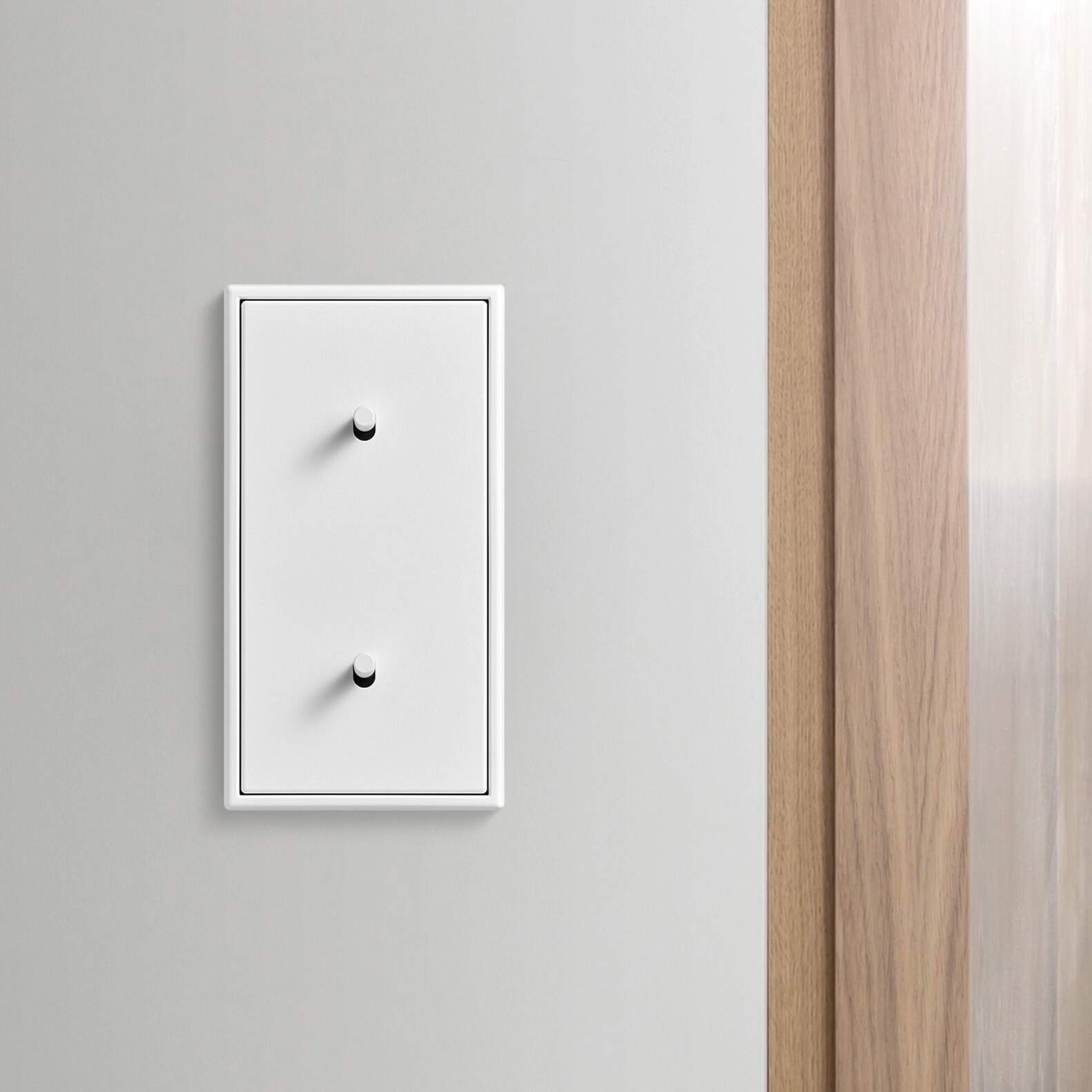 LS 1912 toggle switch – charm from material and mechanics