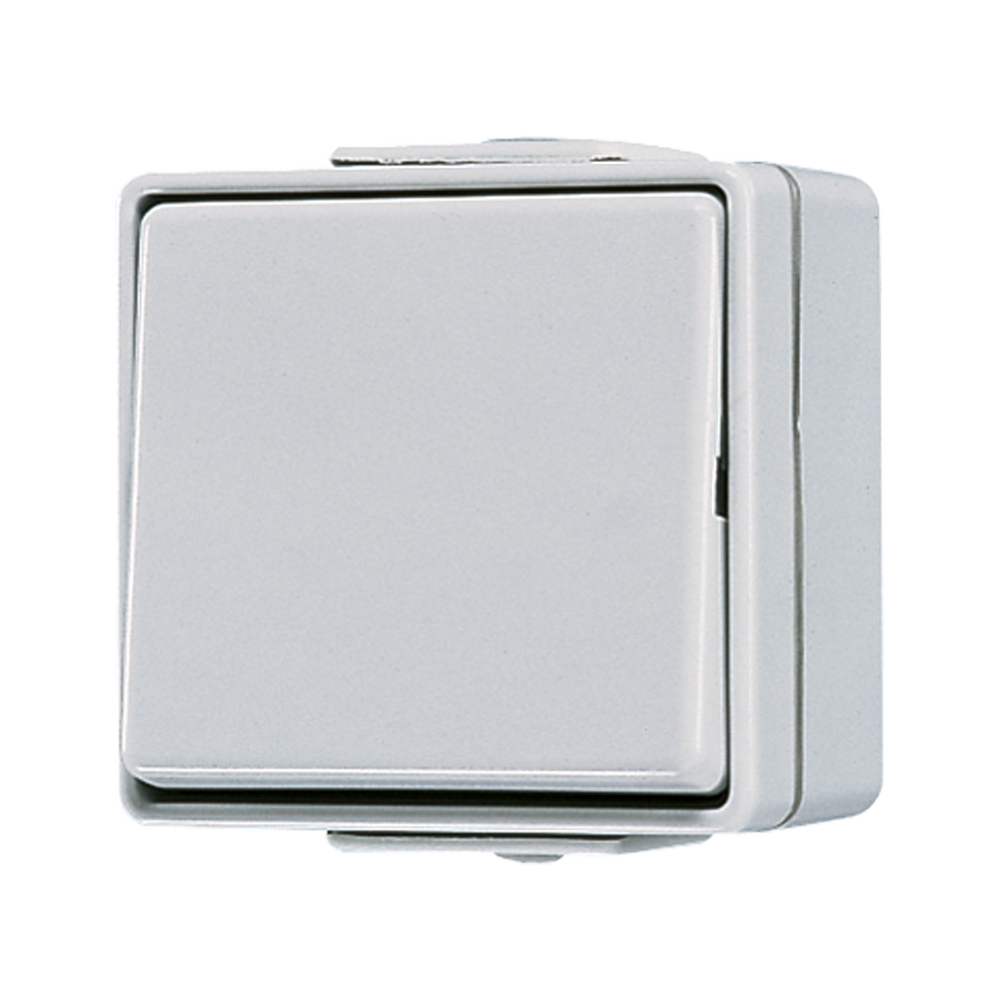 1-gang switch, 1-pole, 1-way, 10 AX 250 V ~, grey | 601 W