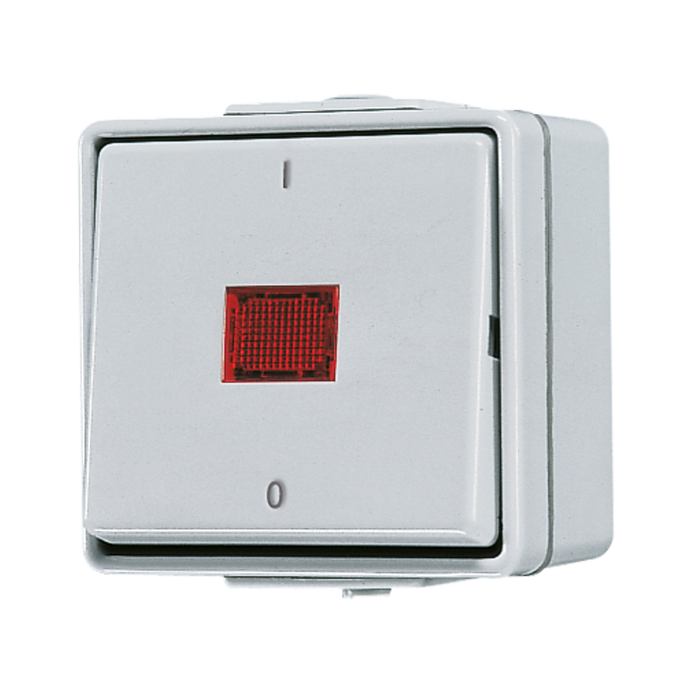 1-gang switch with indicator light, 2-pole, 1-way, 10 AX 250 V ~, grey ...