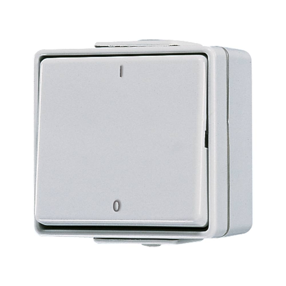 Interrupteur, Interrupteur bipolaire SA, 10 AX 250 V ~, Gris | 602 W