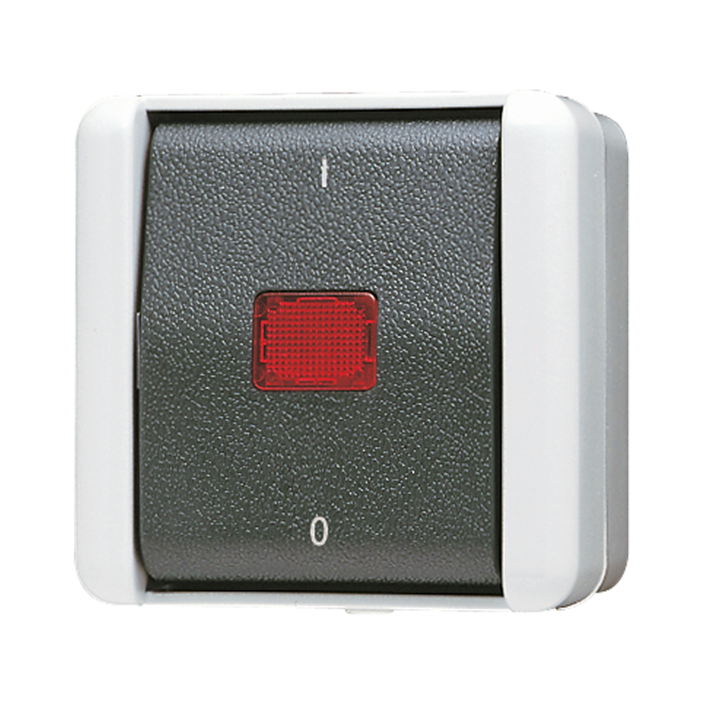 1-gang switch with indicator light, 2-pole, 1-way, 10 AX 250 V ~, grey ...