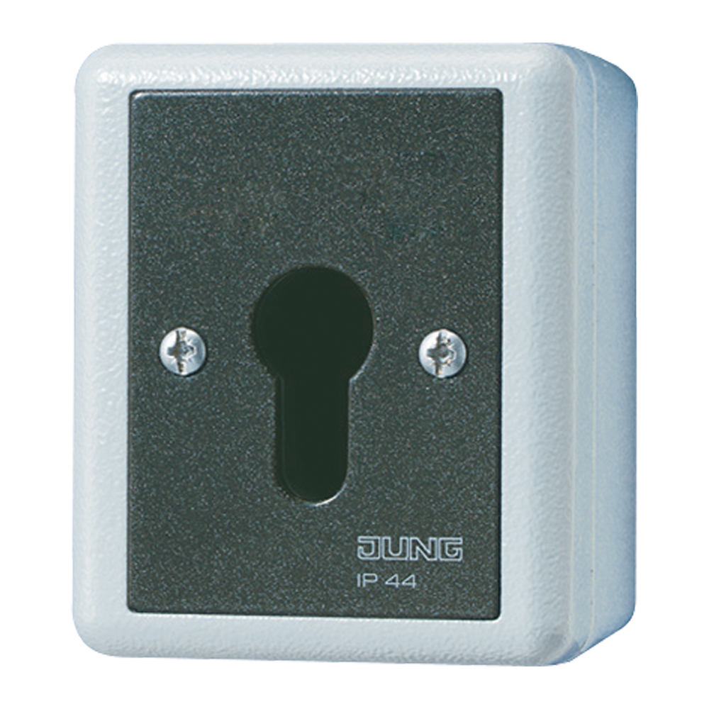 Key switch/push-button, Switch, 2-pole, 2-way, 16 AX, grey | 806.28 G
