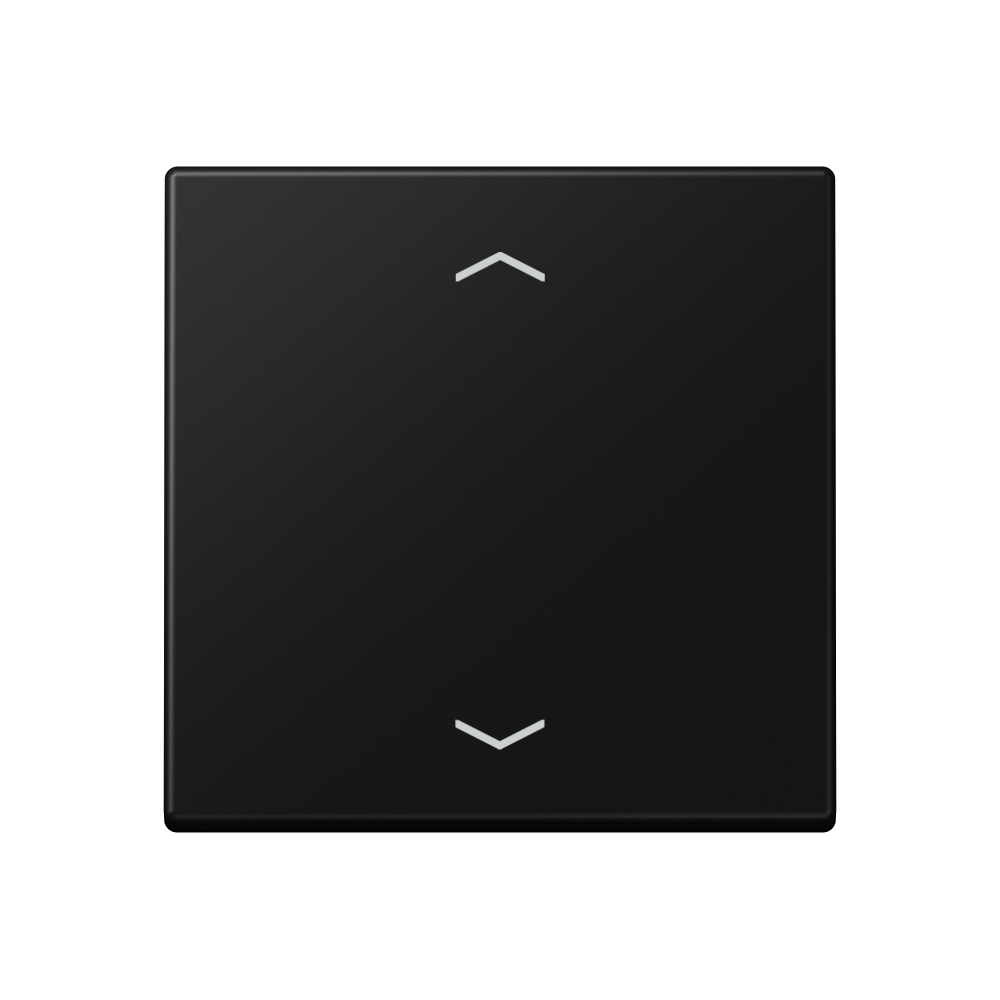 Rocker 1-gang, F10, matt graphite black | A 101 P BF SWM