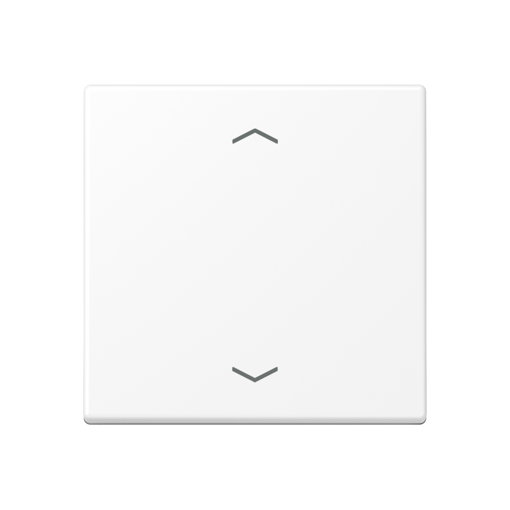 Rocker for KNX push-button 1-gang, F10, matt snow white | A 101 P BF WWM