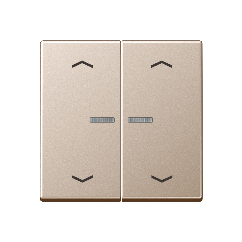 Rocker for KNX push-button 2-gang, F10, champagne | A 102 KO5P CH