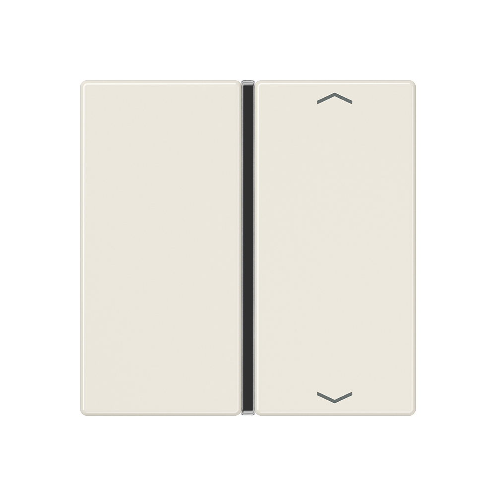 Cover 1-gang, F40, ivory | A 401 TSAP