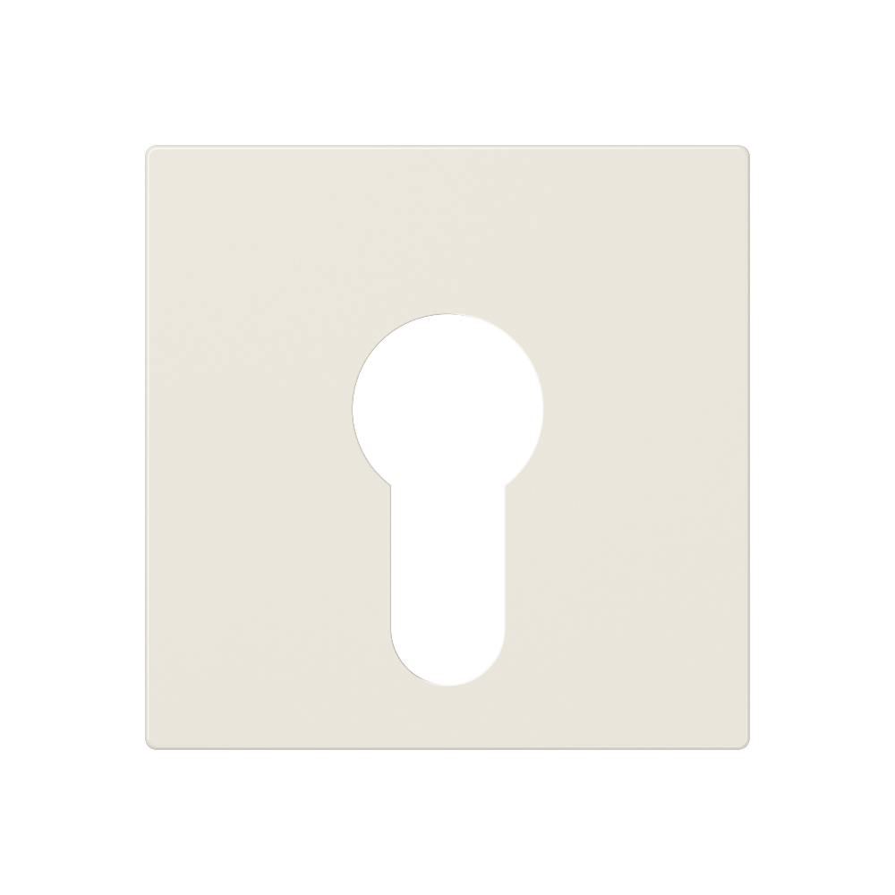 Centre plate 1-gang, for key switch without protection against ...