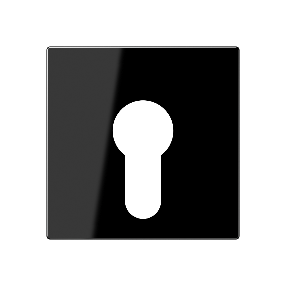 Centre plate 1-gang, for key switch without protection against ...