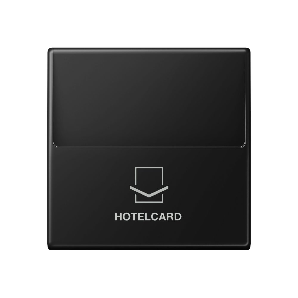 Key card holder, matt graphite black | A 590 CARD SWM