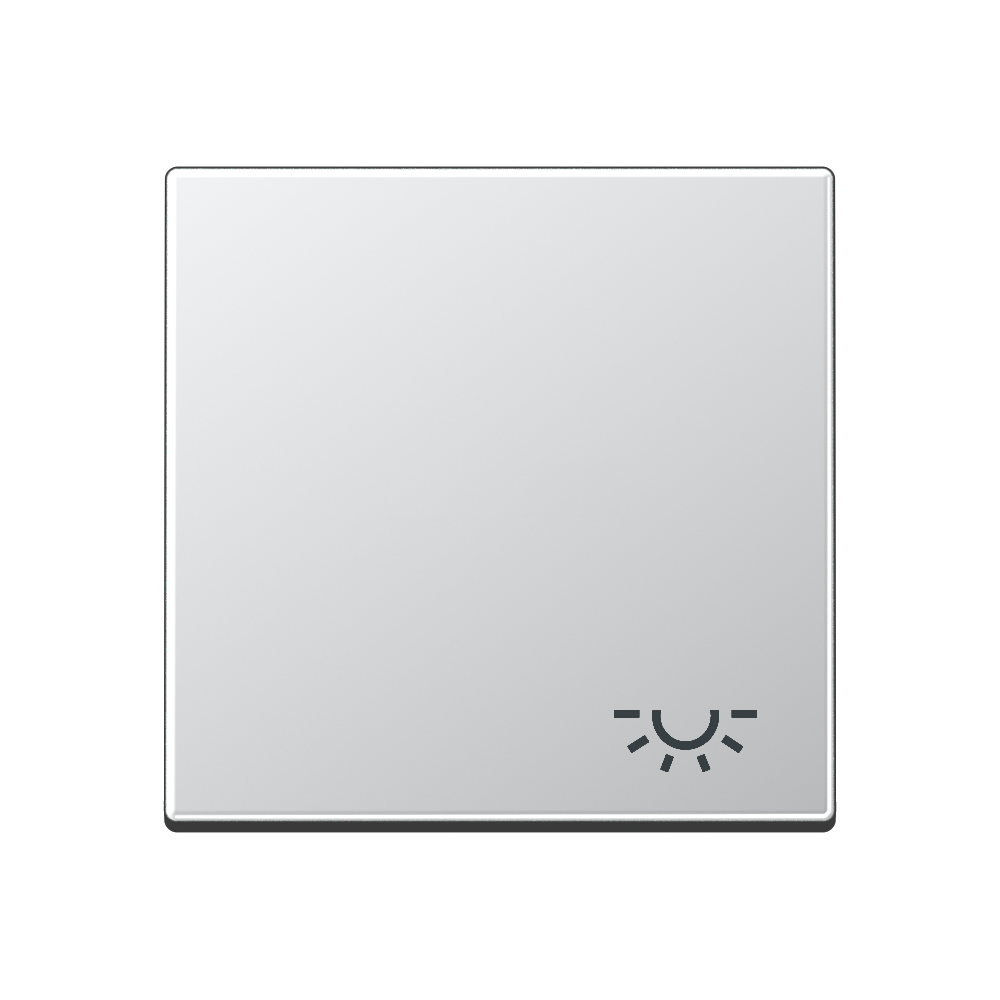 Rocker1-gang, symbol "light", aluminium | A 590 L AL