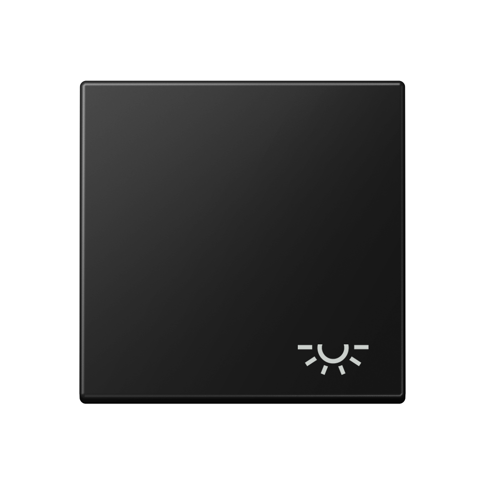 Rocker, symbol "light", matt graphite black | A 590 L SWM