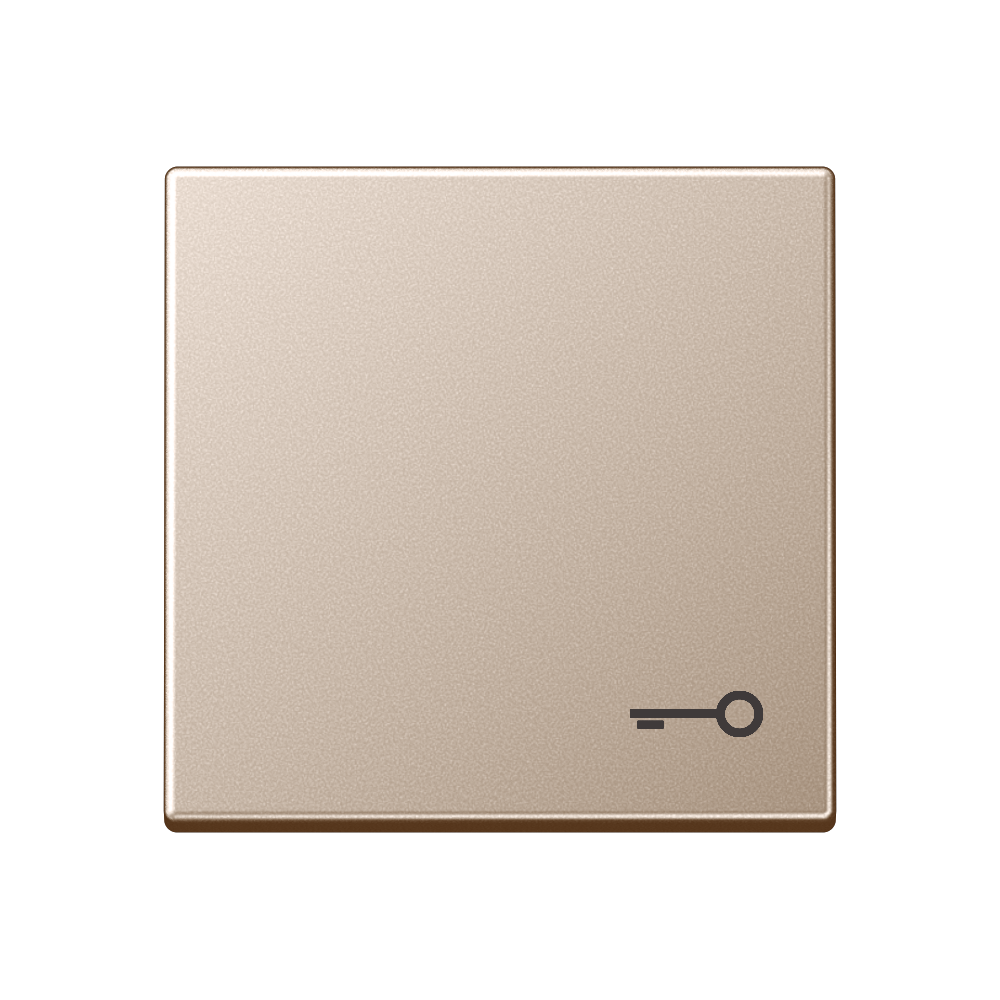 Rocker1-gang, symbol "door", champagne | A 590 T CH