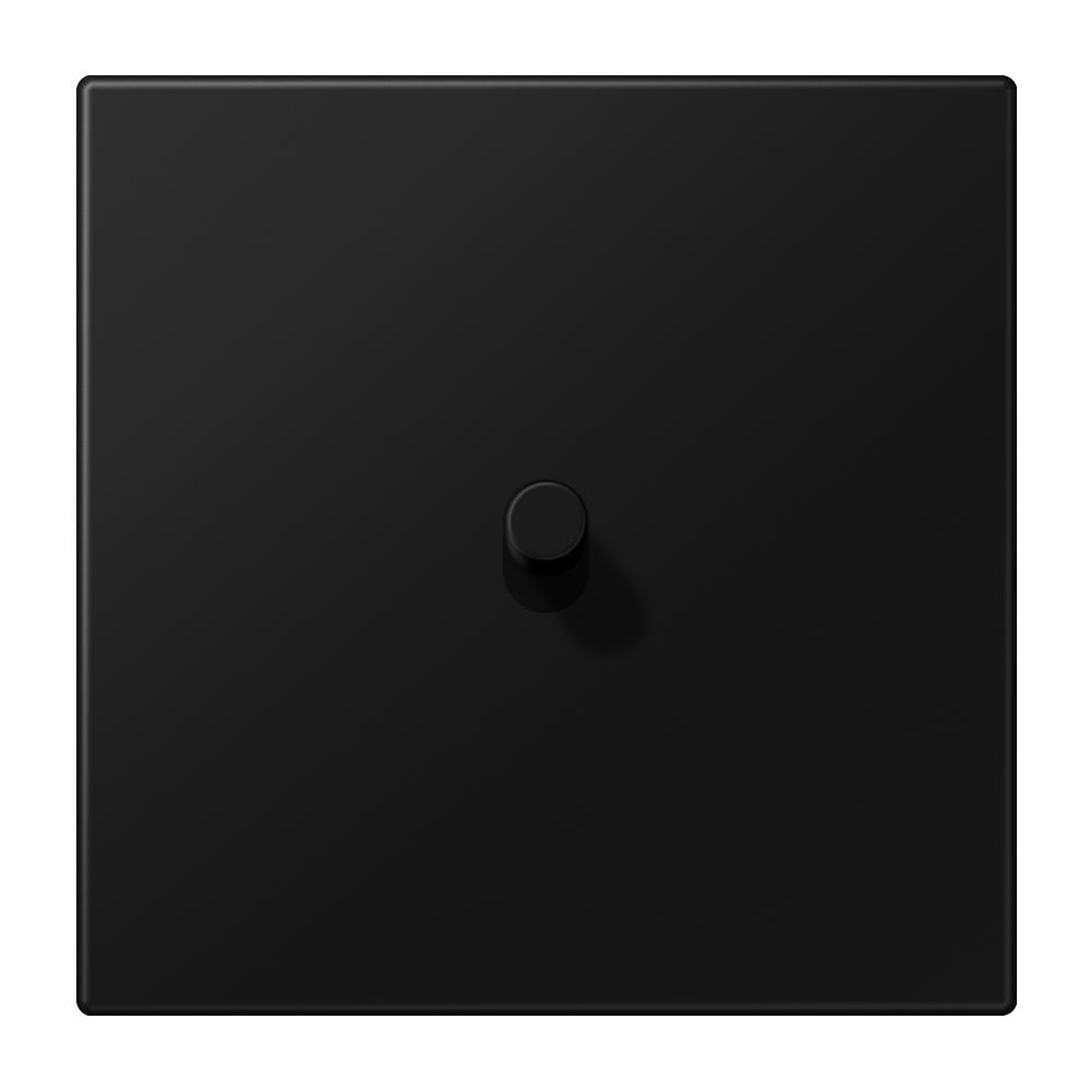 Centre plate with toggle lever "cylinder", 1 toggle lever, matt ...