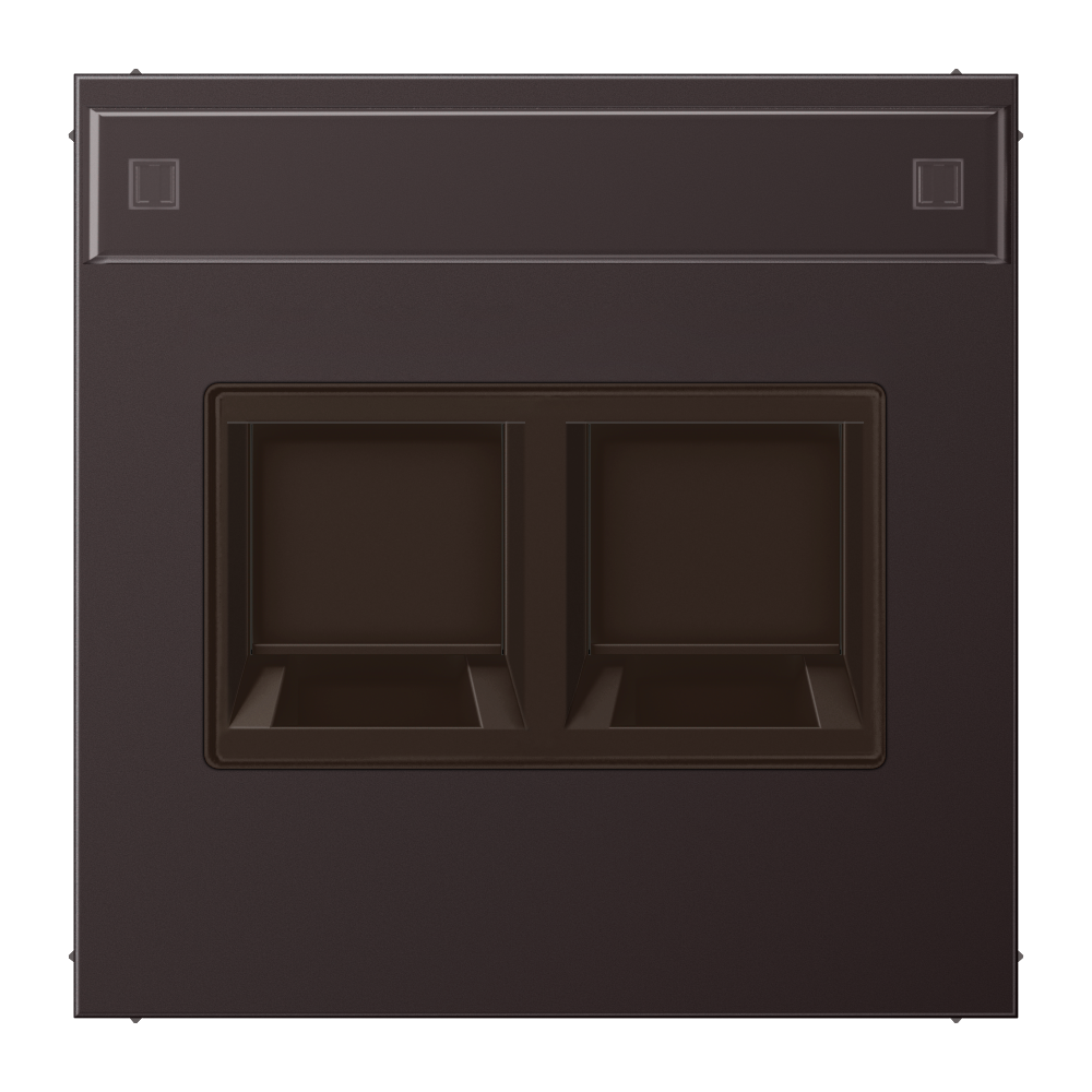 Centre plate (snap-on fixing) for modular jack sockets, 2-gang, EMT, AMP, MTRJ, dark | AL 1969 ...