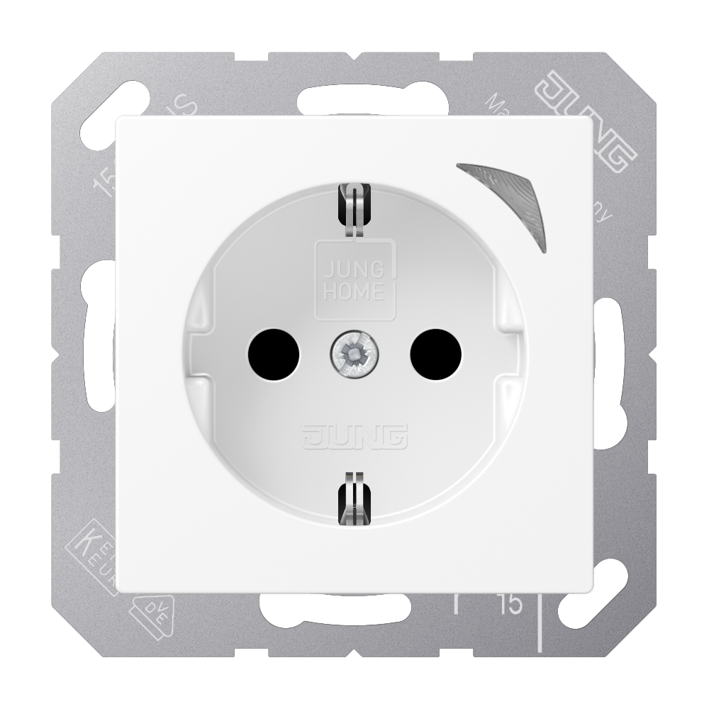 JUNG HOME SCHUKO® socket, screw terminals, Safety+, thermoplastic ...