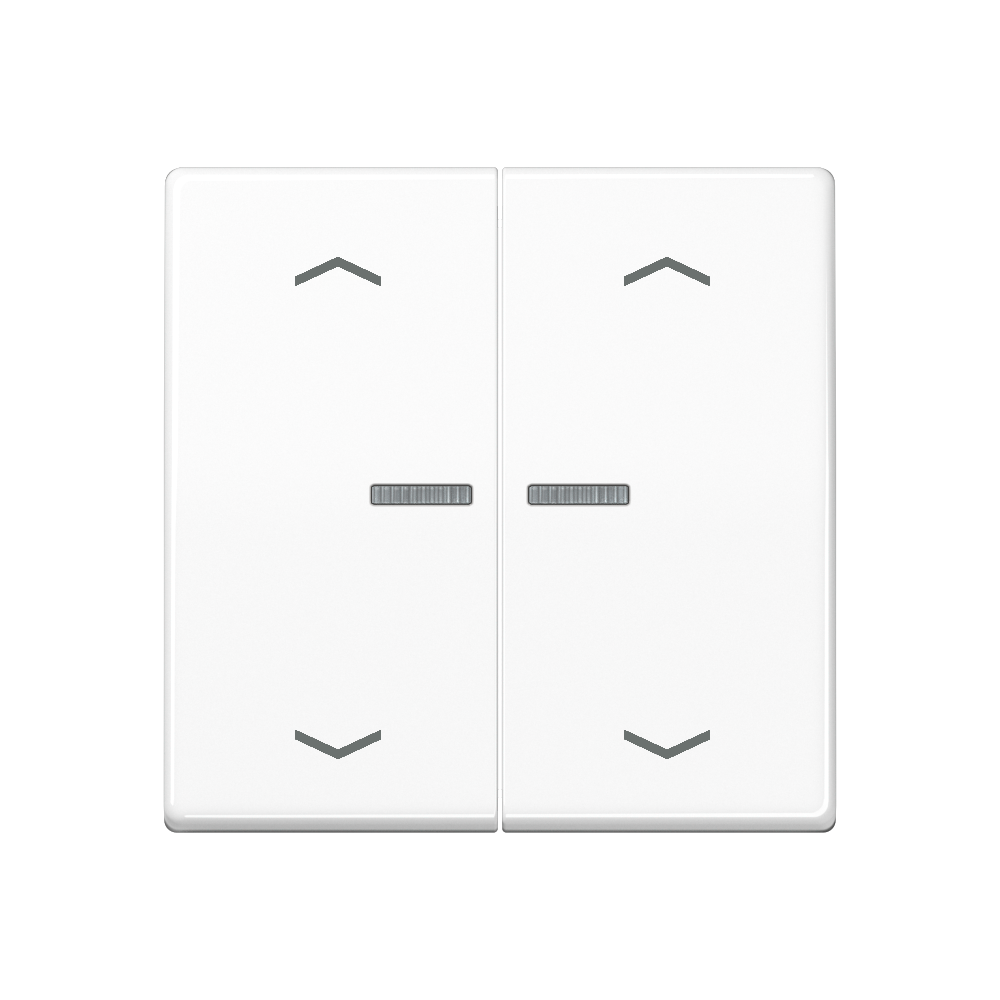 JUNG HOME Taster 2fach, mit Pfeilsymbolen, mit Lichtleiter, alpinweiß ...