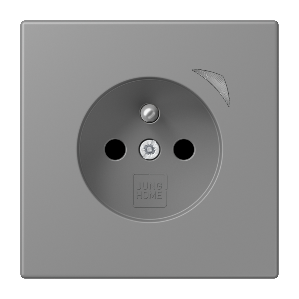 JUNG HOME socket, French/Belgian system, Safety Plus, gris 31 (32011 ...