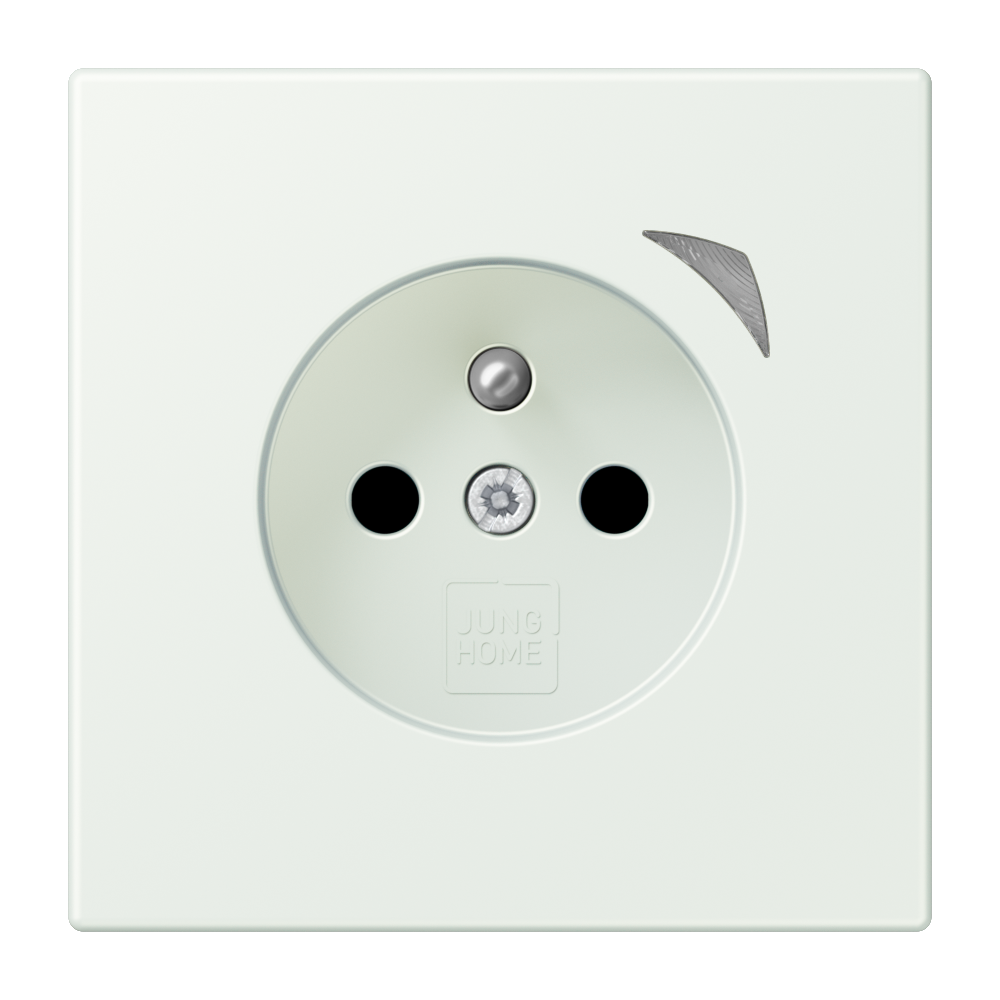 JUNG HOME socket Energy, French/Belgian system, screw terminals ...