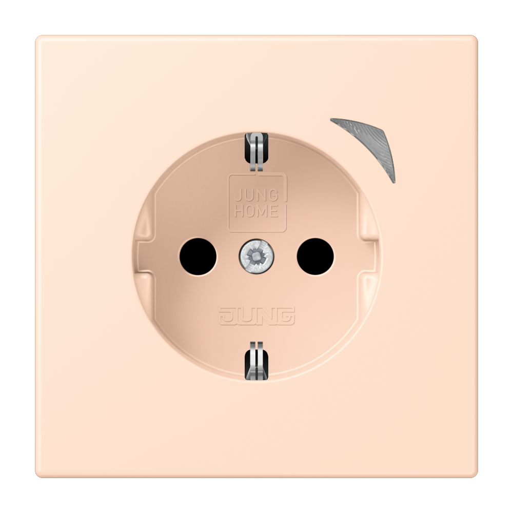 JUNG HOME SCHUKO® socket, Safety Plus, rose pâle | BT LC 1521 S 228