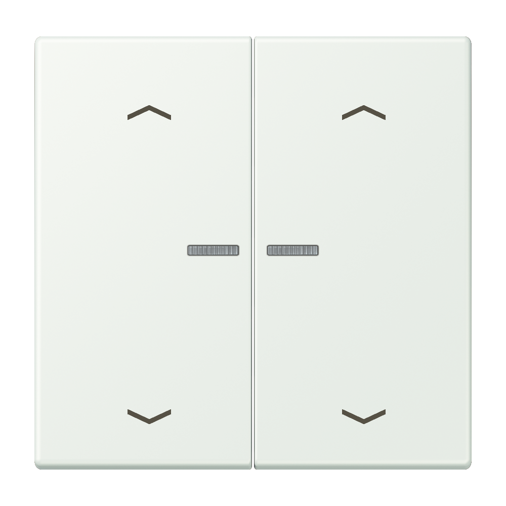 JUNG HOME push-button 2-gang, with arrow symbols, with lens, outremer ...