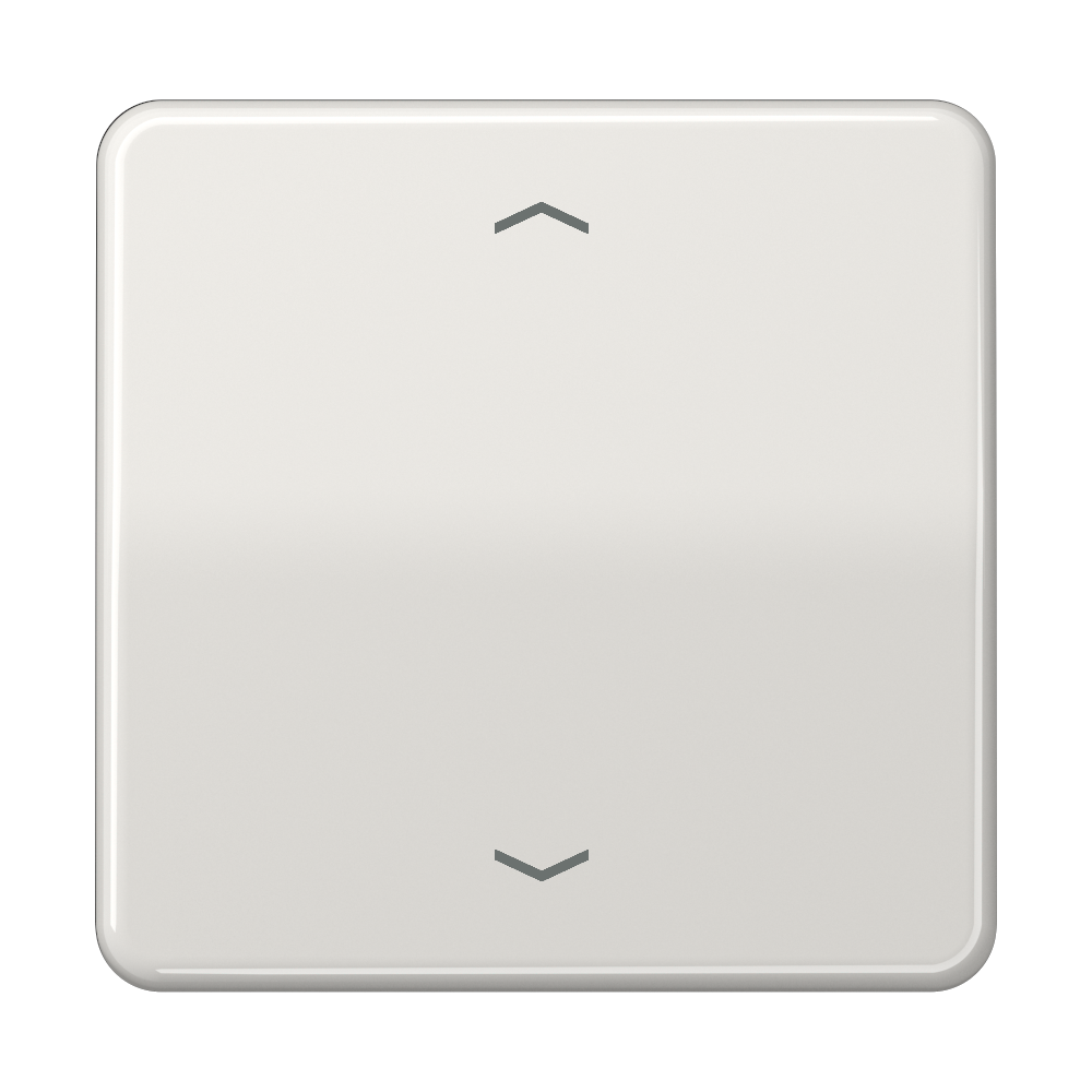 Rocker 1-gang, F10, light grey | CD 101 P LG