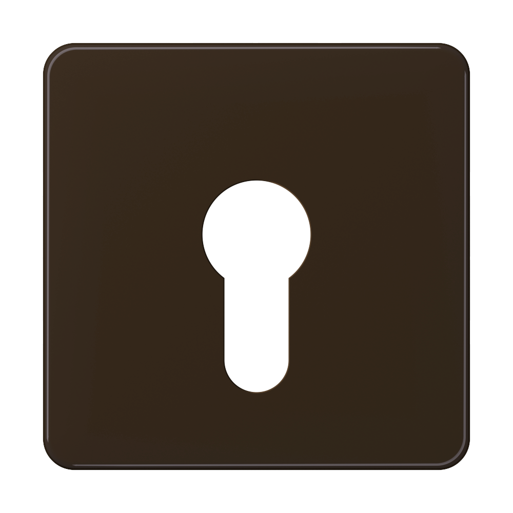 Centre plate 1-gang, for key switch without protection against ...