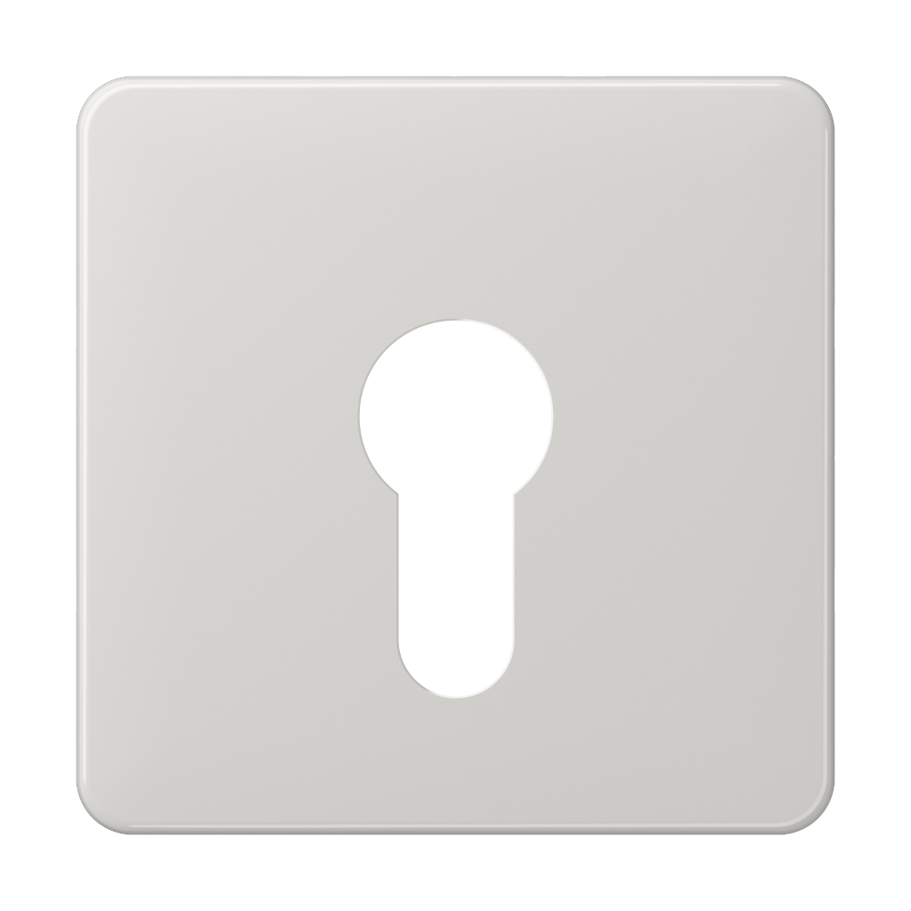 Centre plate for key switch without protection against dismounting ...