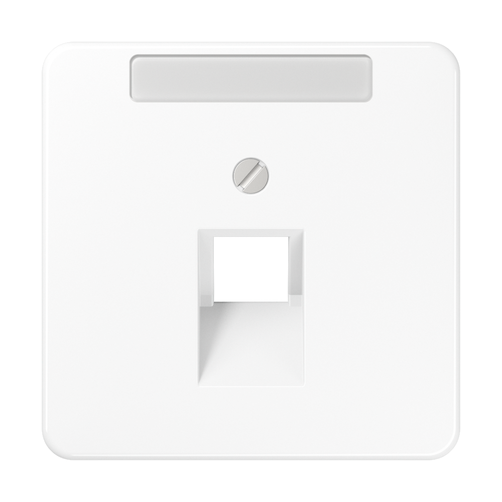 Centre plate for IAE/UAE sockets, 1 x 8-pole, white | CD 569-1 NAUA WW