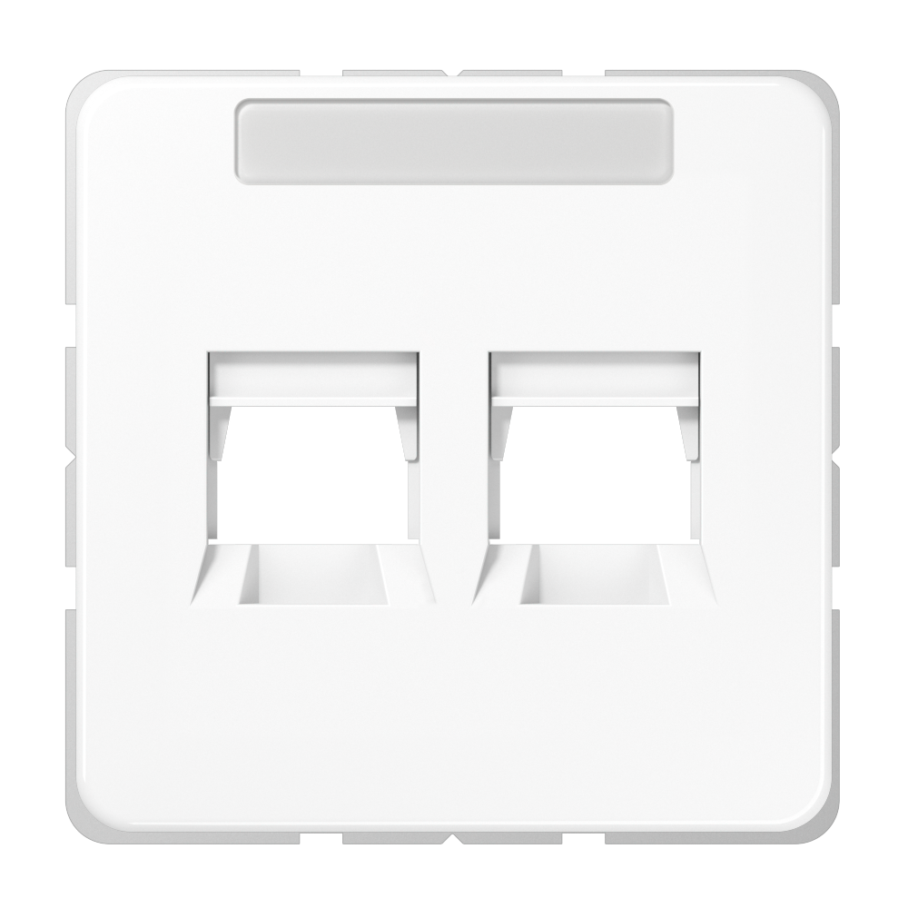 Centre plate (snap-on fixing) for modular jack sockets, 2-gang, UMA-CAT6A, RADIALL, Panduit ...