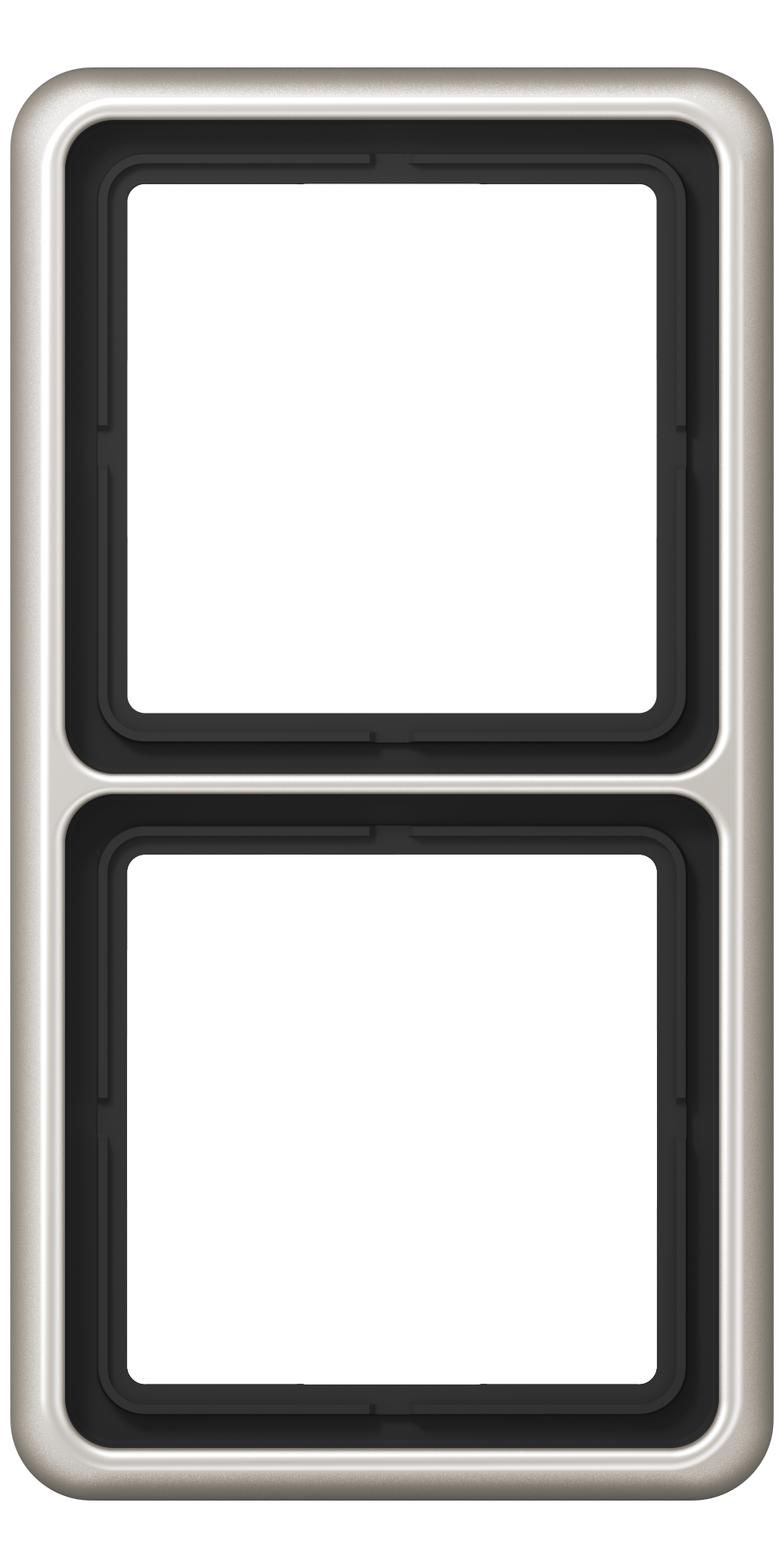 Frame 2-gang, platinum | CD 582 PT