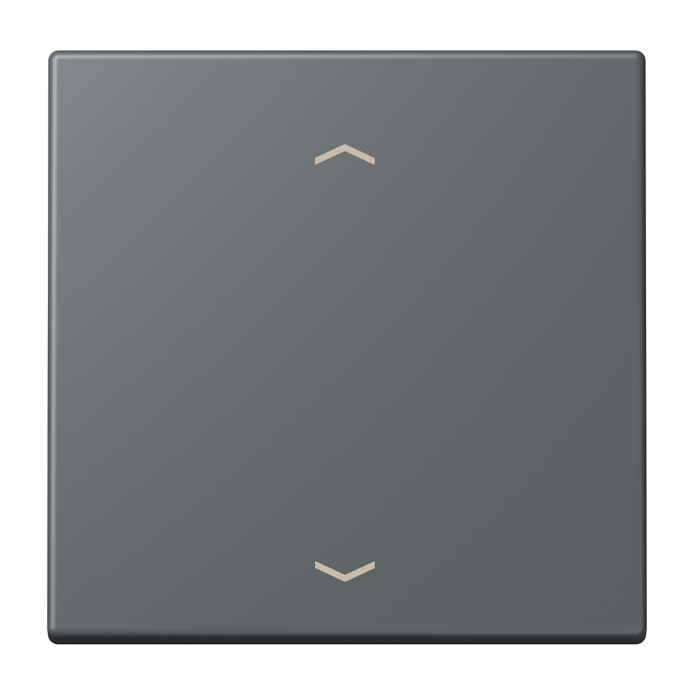 Rocker for KNX push-button 1-gang, F10, gris foncé 31 (32010) | LC 101P 202