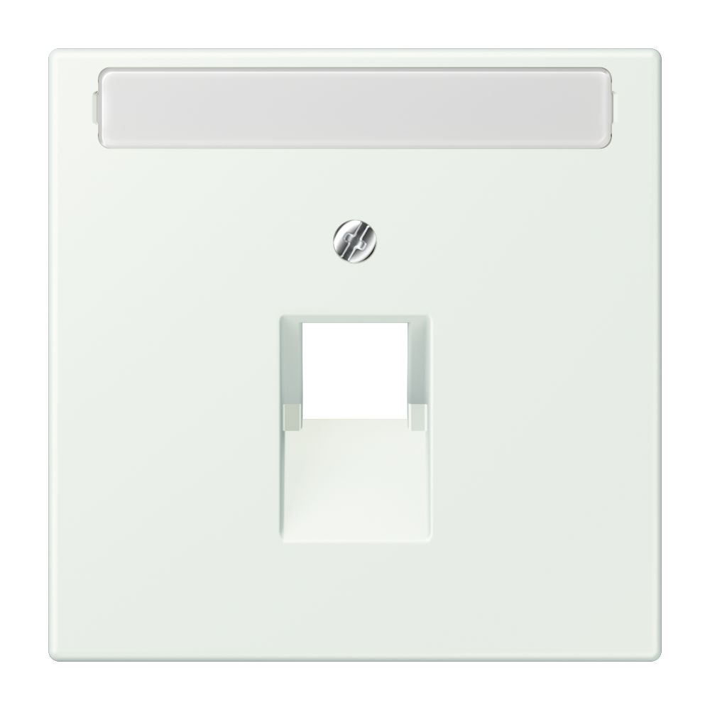 Centre plate for IAE/UAE sockets, 1 x 8-pole, outremer gris (32024 ...