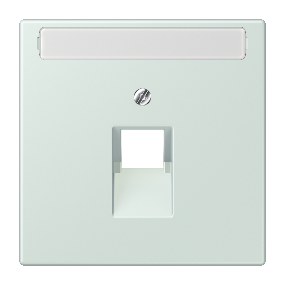 Centre plate for IAE/UAE sockets, 1 x 8-pole, céruléen pâle (32034 ...