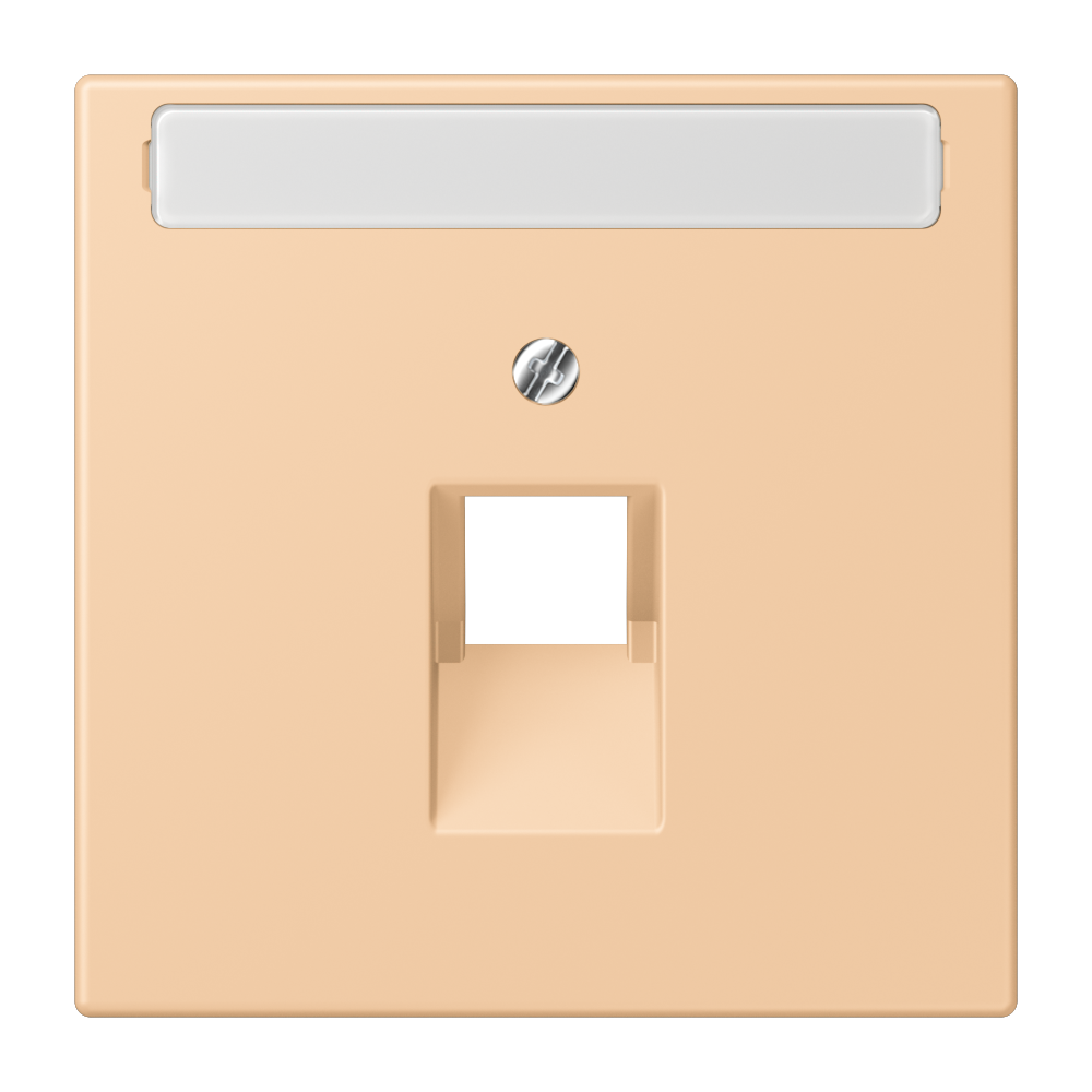 Centre plate for IAE/UAE sockets, 1 x 8-pole, terre sienne claire 31 ...