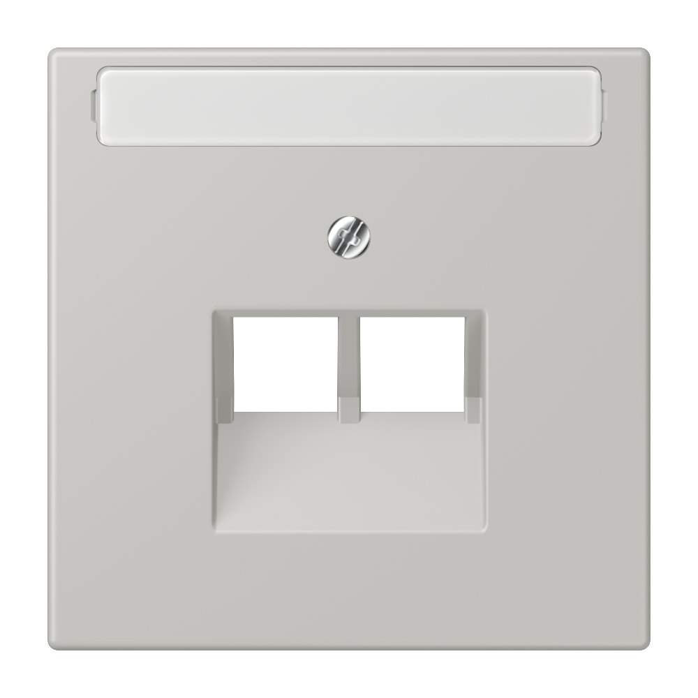 Centre plate for IAE/UAE sockets, 2 x 8-pole, gris clair 31 (32013 ...