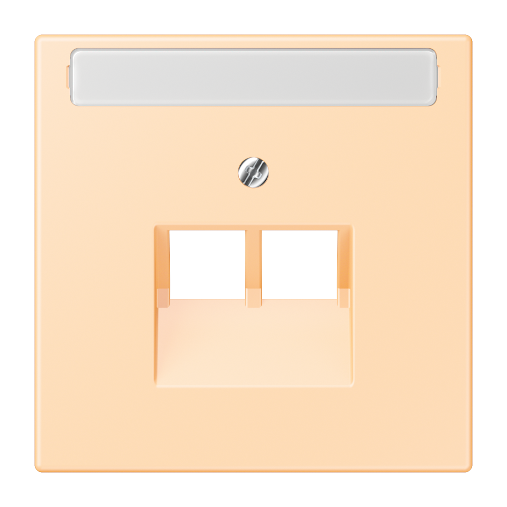 Centre plate for IAE/UAE sockets, 2 x 8-pole, ocre (32060) | LC 969-2 ...