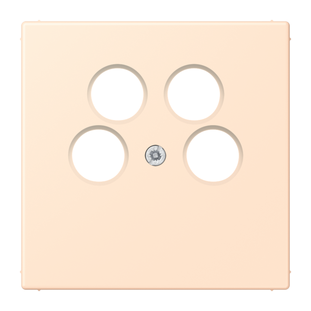 Centre plate 4-gang for 4-hole SAT-TV socket (Axing), terre sienne pâle ...