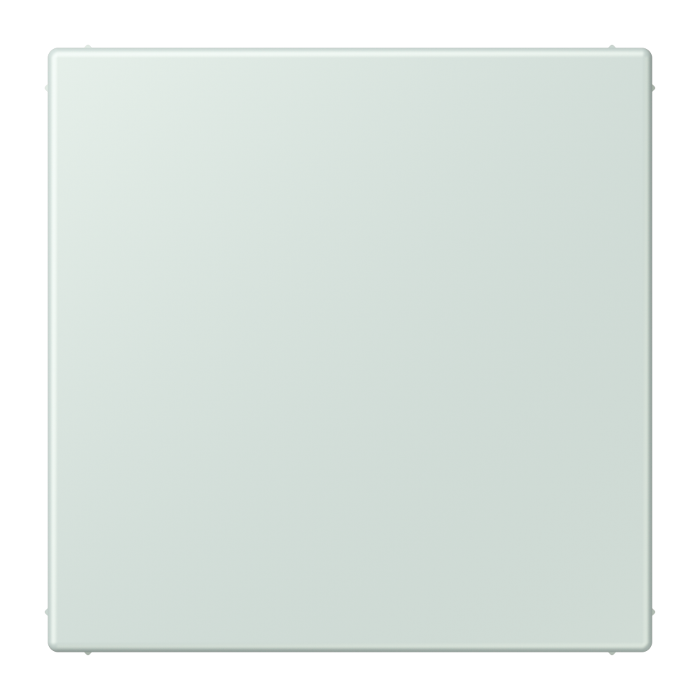 Blank centre plate (snap-on fixing), céruléen pâle (32034) | LC 994 B 215