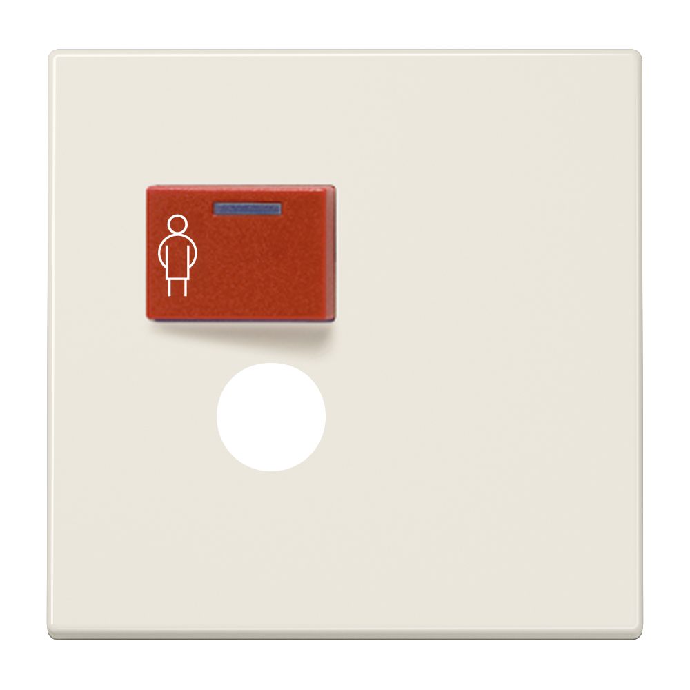 Centre plate for Ackermann, Typ 73071, 73075 A, ivory | LS 071 B