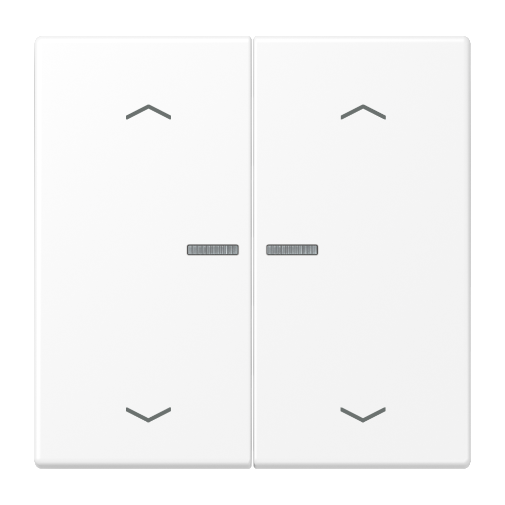 Rocker for KNX push-button 2-gang, F10, matt snow white | LS 102 KO5P WWM