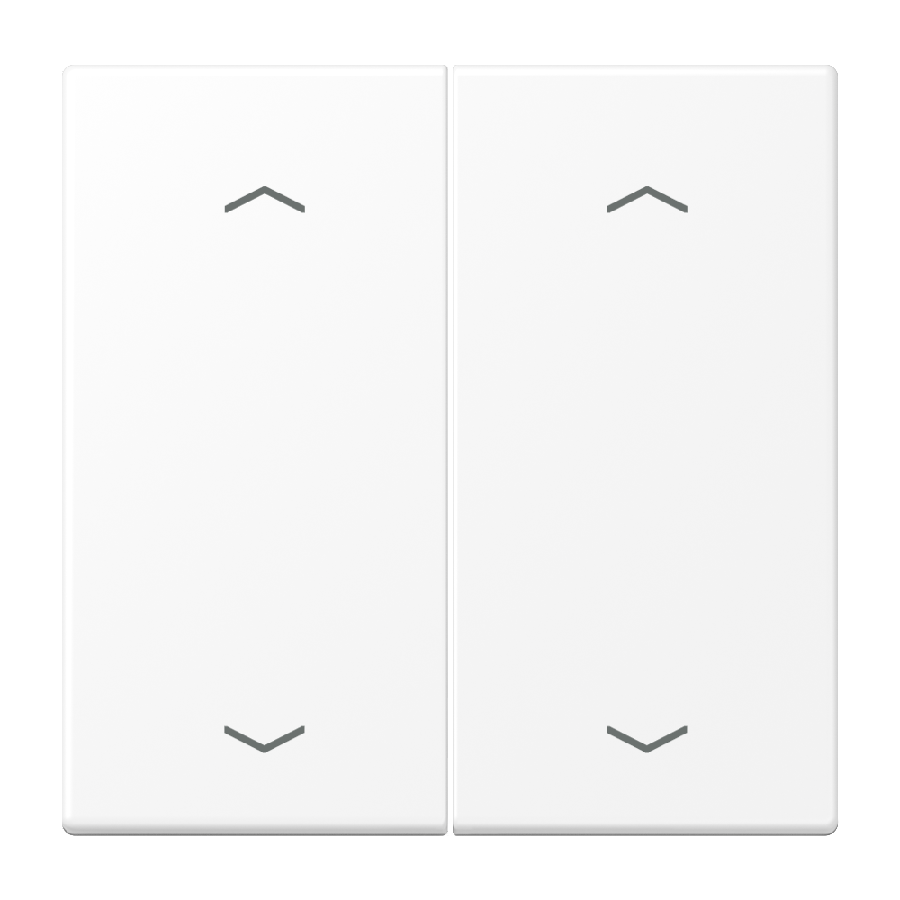 2-gang rocker for push-button 2-gang, F10, matt snow white | LS 102 P WWM