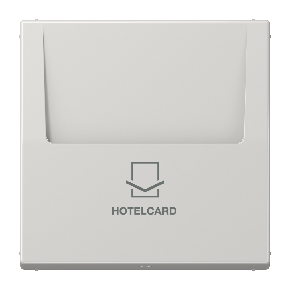 Key card holder, light grey | LS 590 CARD LG
