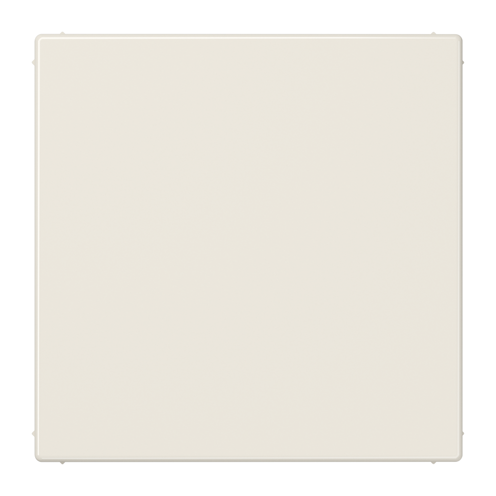 Blank centre plate (snap-on fixing), ivory | LS 961 B