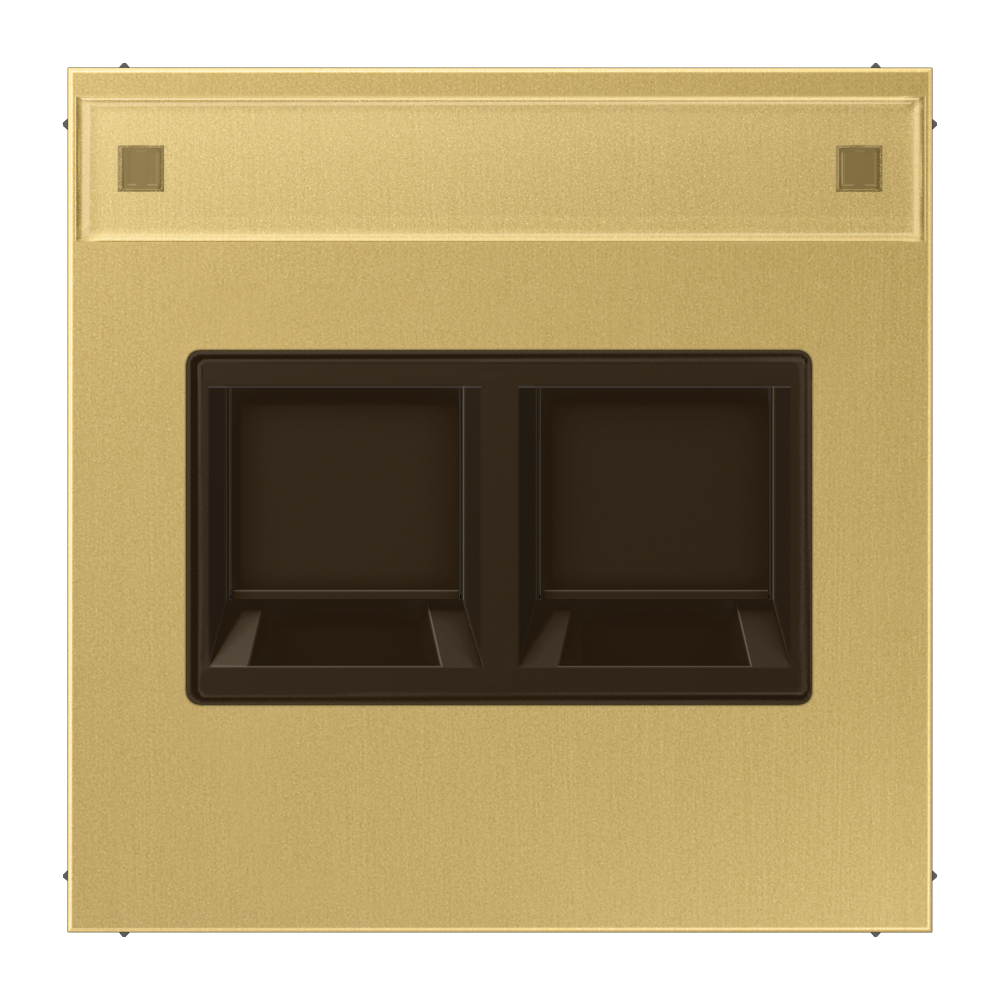 Centre plate (snap-on fixing) for modular jack sockets, 2-gang, UMA ...