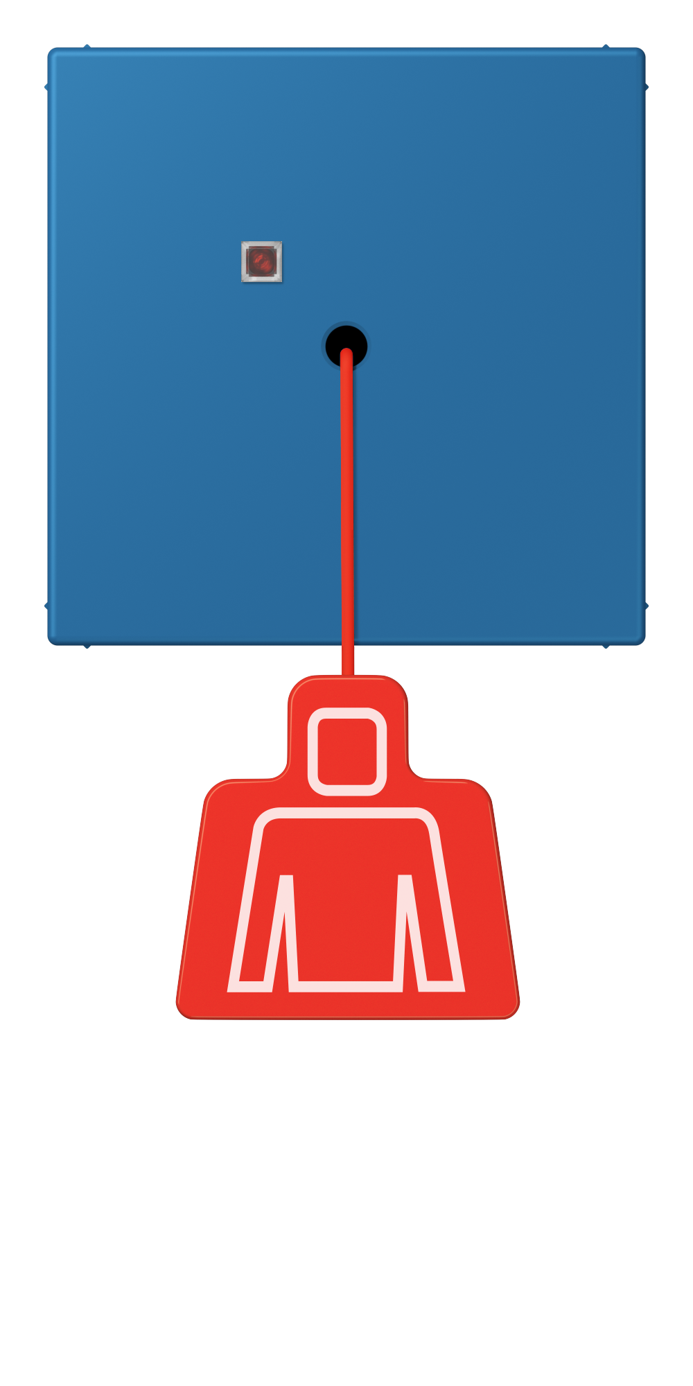 Pull cord push-button, bleu céruléen 31 (32030) | NRS LC 0834 ZT 211