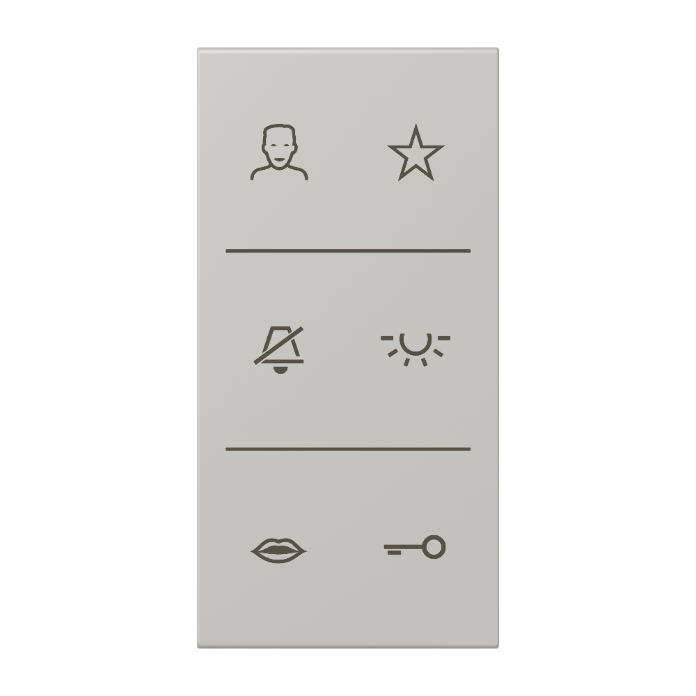 Symbol cover video, F50, thermoplastic lacquered, gris clair 31 (32013 ...