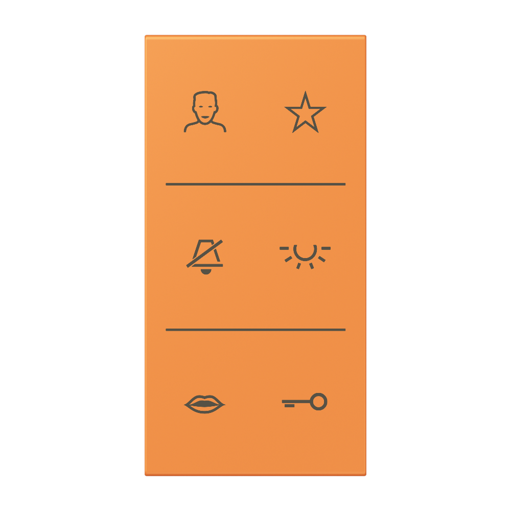 Placa con símbolos video, F50, termoplástico lacado, orange clair (32081) | SI V6 LC DC 225