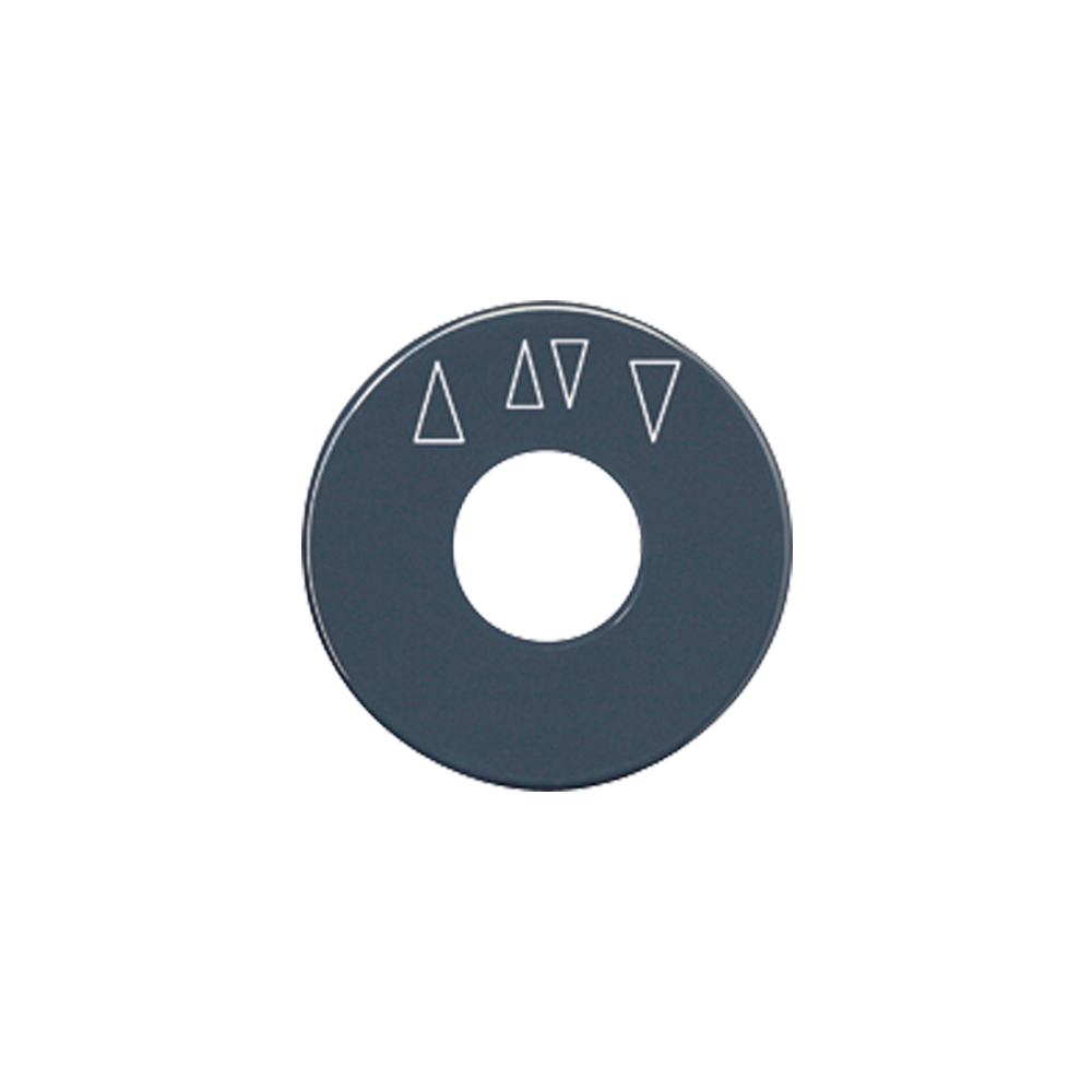 Scale disc, with arrow symbols, anthracite | SKS 1234.10