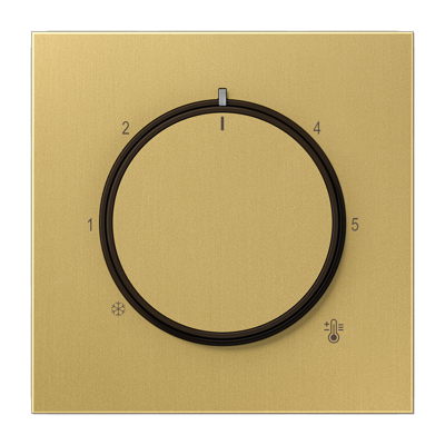 Centre plate for thermostat, antique brass | ME 1749 AT